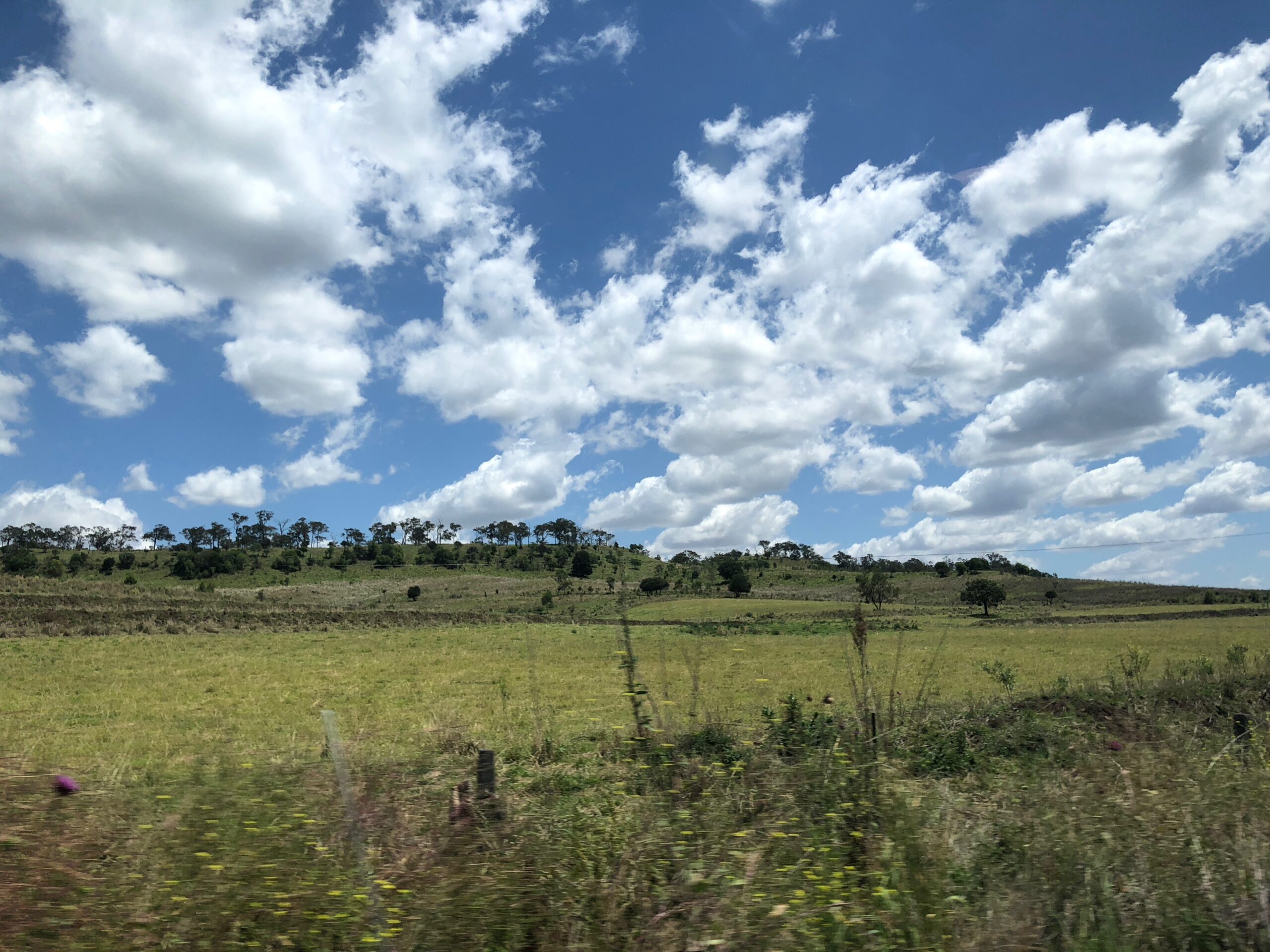 Visiting rural Queensland – Látogatás vidéken Queenslandben – FloorCookies